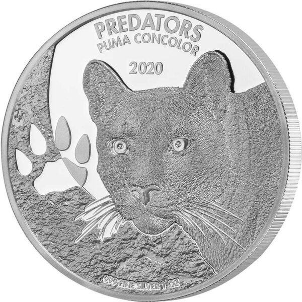 Buy Silver Coins Online - Collectible Silver Coins | Art in Coins